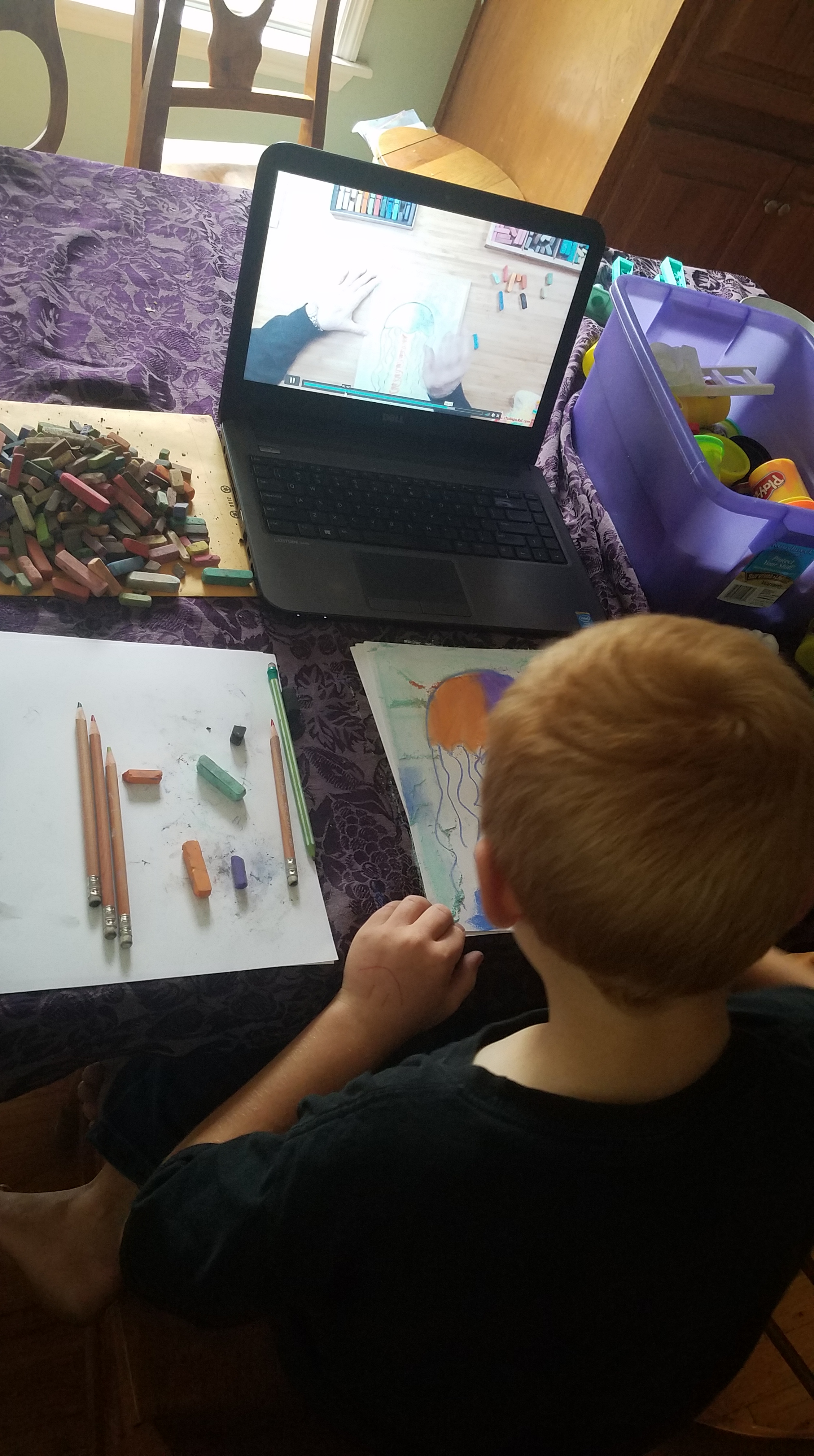 Resources and Ideas for Apologia Swimming Creatures of the Fifth Day ...